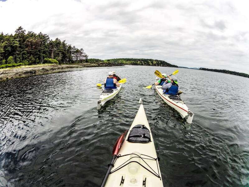 San Juan Island: Full Day Kayaking Tour with Lunch - An In-Depth Look at the San Juan Island Kayaking Experience