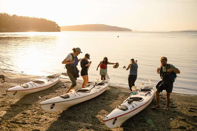 San Juan Island: Full Day Kayaking Tour with Lunch - Who Will Love This Tour?