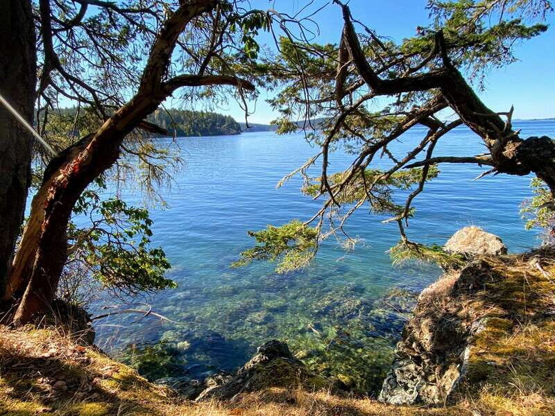 San Juan Island: Full Day Kayaking Tour with Lunch - FAQ