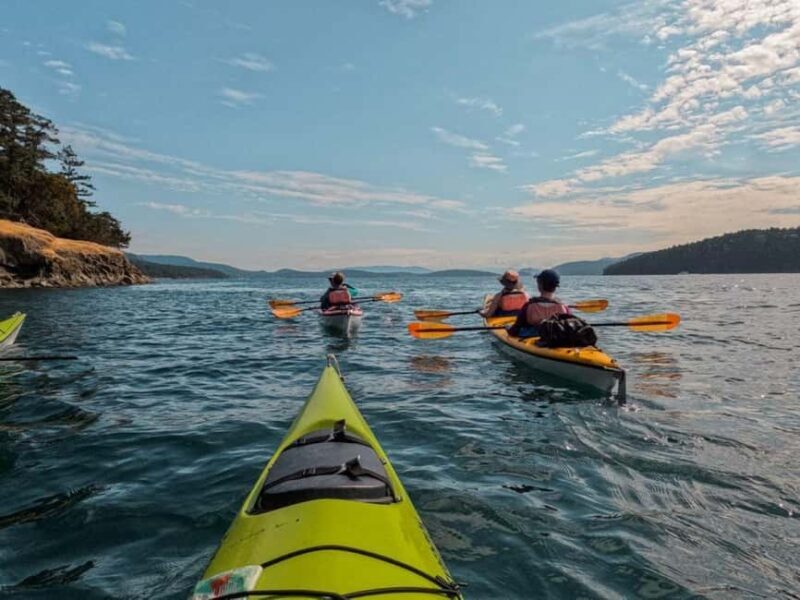San Juan Island: Half- or Full-Day Lime Kiln Kayak Tour - What to Expect on the Tour