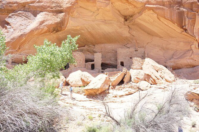 San Juan River and Hummer Cliff Dwelling Expedition - The Sum Up: Is This Tour Right for You?
