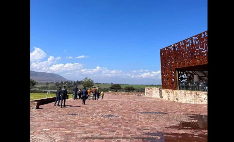 San Miguel Allende: Guanajuato Wine Route vineyard tour - Key Points