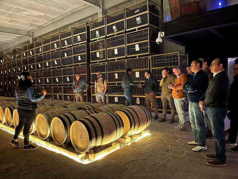 San Miguel Allende: Guanajuato Wine Route vineyard tour - Scenic Views and Free Time