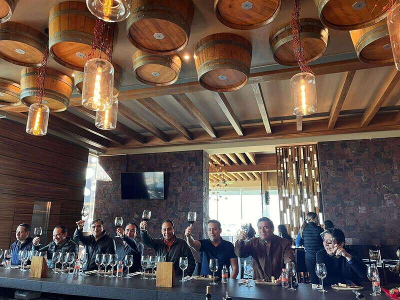 San Miguel Allende: Guanajuato Wine Route vineyard tour - Who Will Love This Experience?