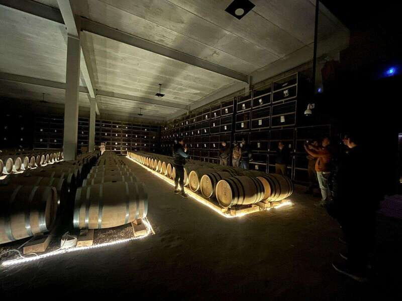 San Miguel Allende: Guanajuato Wine Route vineyard tour - Summary