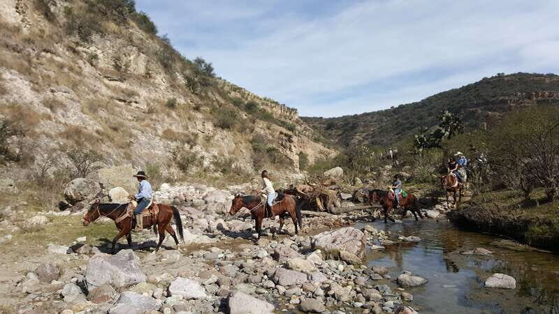 San Miguel Allende: Half-Day Horseback Riding Adventure - A Close Look at the Horseback Riding Experience