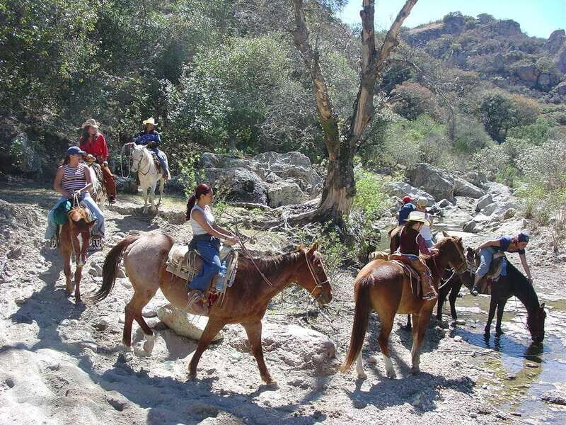 San Miguel Allende: Half-Day Horseback Riding Adventure - Who Is This Tour Best Suited For?