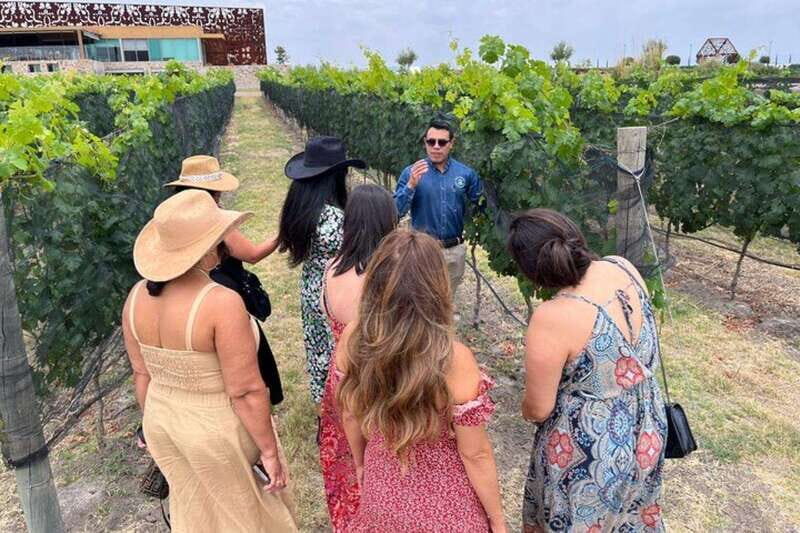 San Miguel de Allende: Local Vineyard Tour & Wine Tasting - Exploring the Full Experience