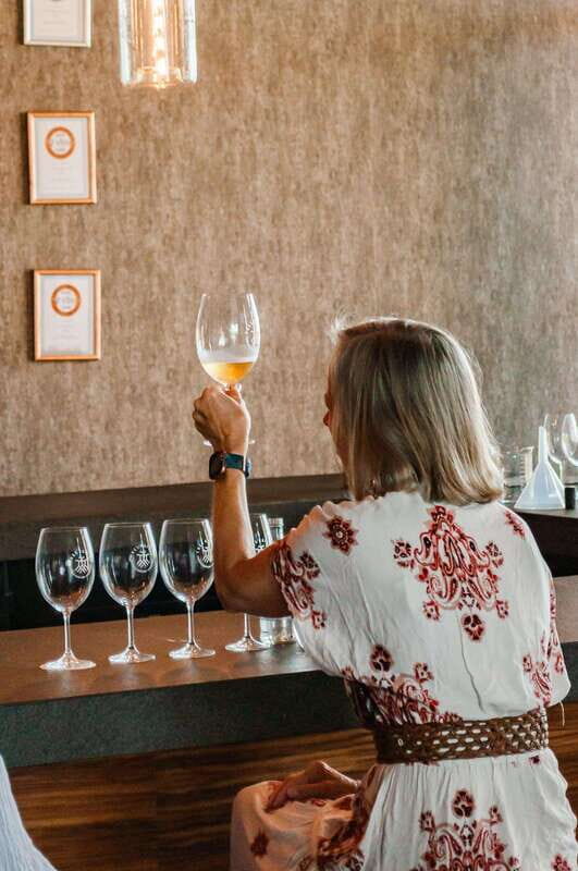 San Miguel de Allende: Local Vineyard Tour & Wine Tasting - Who Should Book This Tour?