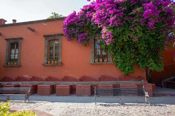 San Miguel de Allende Walking Tour - Why Choose This Tour?