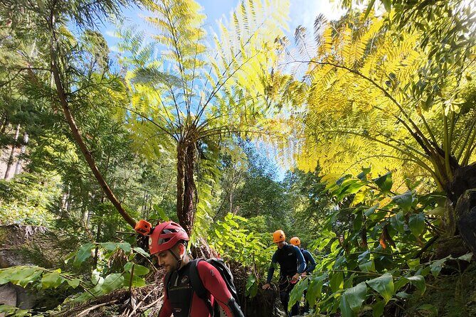San Miguel : Level 2 Canyoning in Salto do Cabrito, Azores - Final Thoughts: Who Should Consider This Tour?