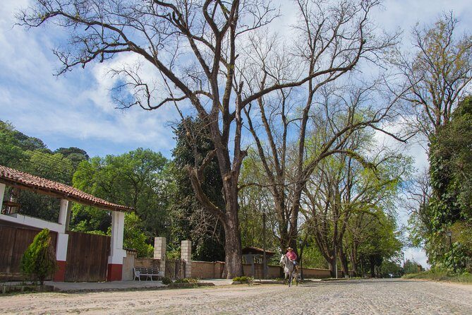 San Sebastian del Oeste - Final Thoughts