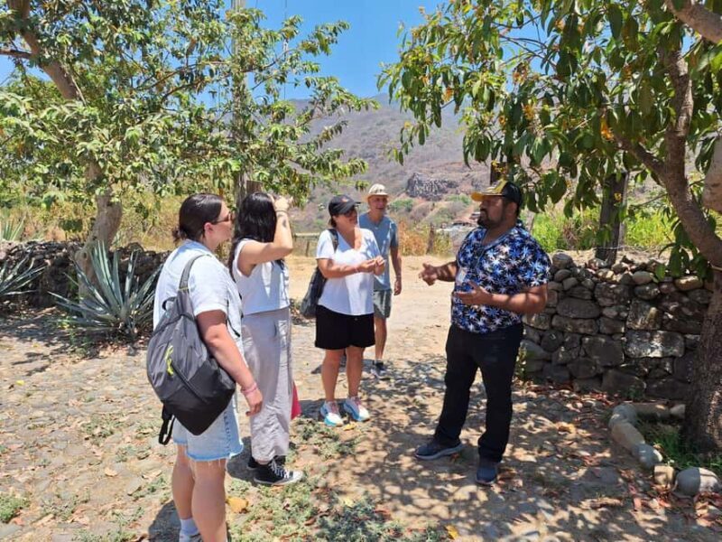 San Sebastian del Oeste: Tequila Tasting and Coffee Tour - What Makes This Tour Stand Out?