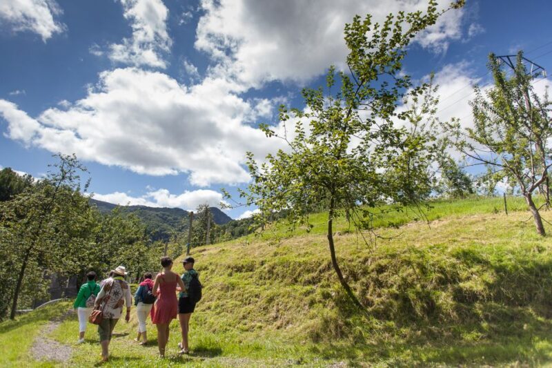 San Sebastián: Traditional Cider House Tour with Lunch - Analyzing the Value and Practicalities