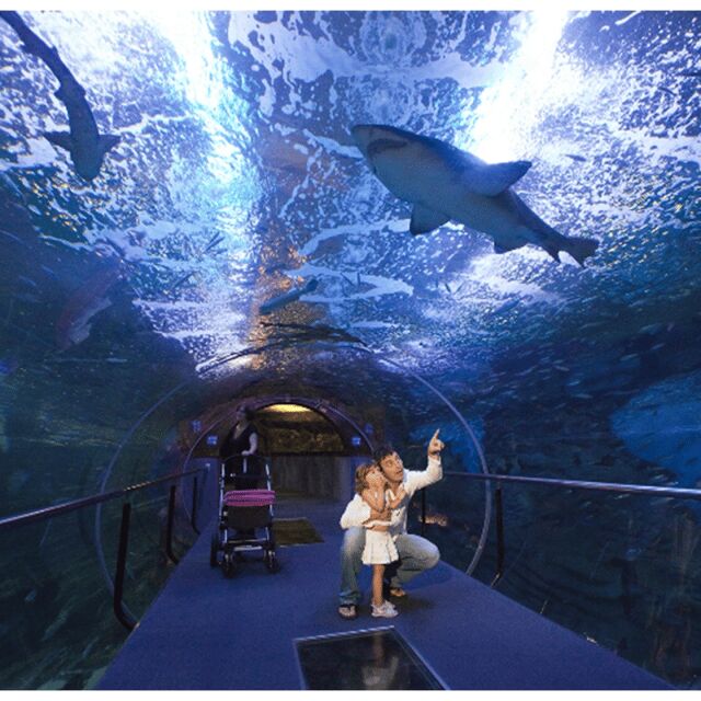 San Sebastian walking tour and aquarium - Key Points