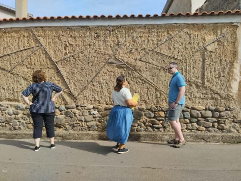 San Sperate Murales Tour - Visit a Typical Sardinian Village - An In-Depth Look at the San Sperate Murales Tour