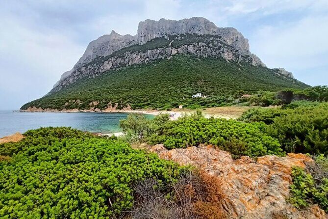 San Teodoro: Mini Tour of the Tavolara Archipelago - The Itinerary Breakdown: What To Expect