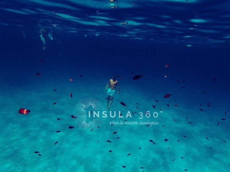 San Teodoro: Tavolara and Molara Islands Dinghy Excursion - The Sum Up