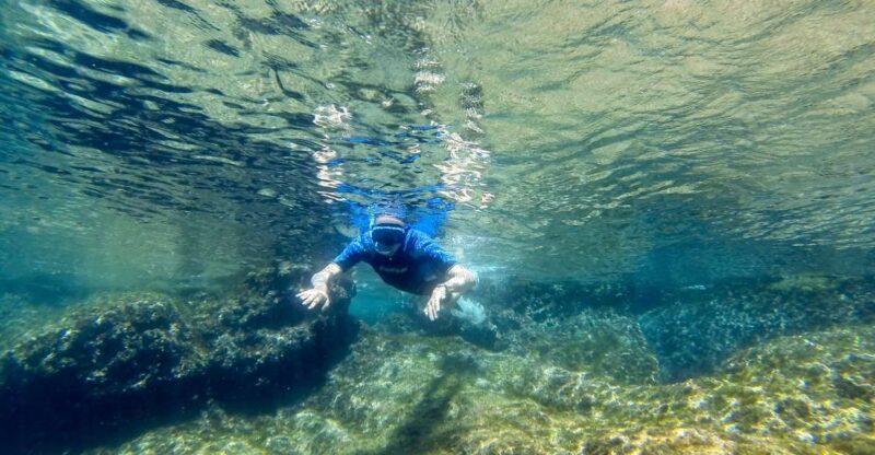 San Terenzo: Portovenere Natural Park Snorkeling Trip - Introduction and First Impressions