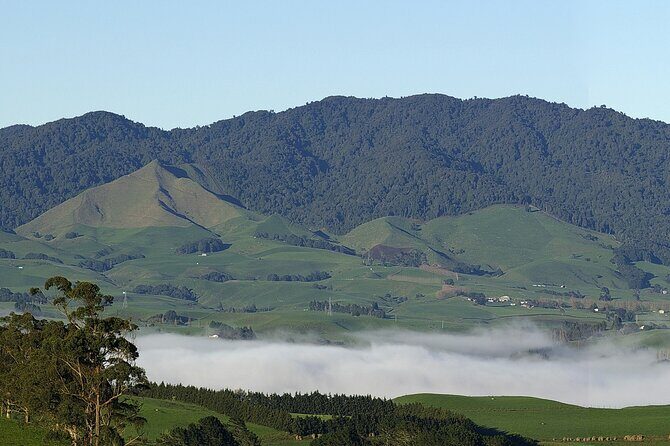 Sanctuary Mountain Ancient Forest Walk & Hamilton Gardens Tour - Sanctuary Mountain Maungatautari: The Ancient Forest Experience