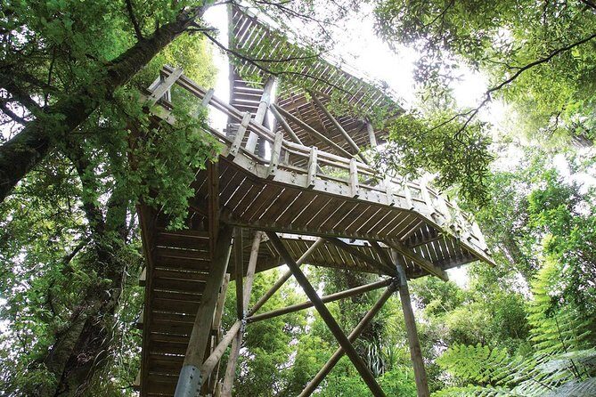 Sanctuary Mountain (Mt Maungatautari) & Hamilton Gardens Day trip from Auckland - A Detailed Look at the Itinerary