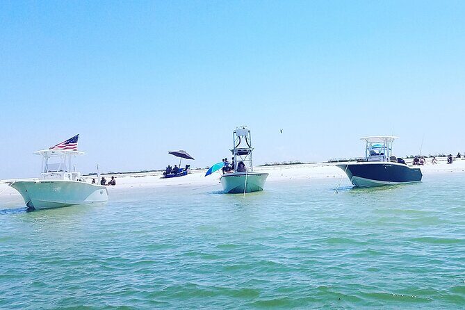 Sandbar, Beach, Dolphin Watching Cruise Sarasota, Florida - Key Points