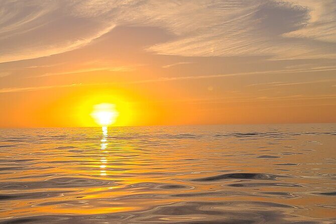 Sandbar, Beach, Dolphin Watching Cruise Sarasota, Florida - Frequently Asked Questions