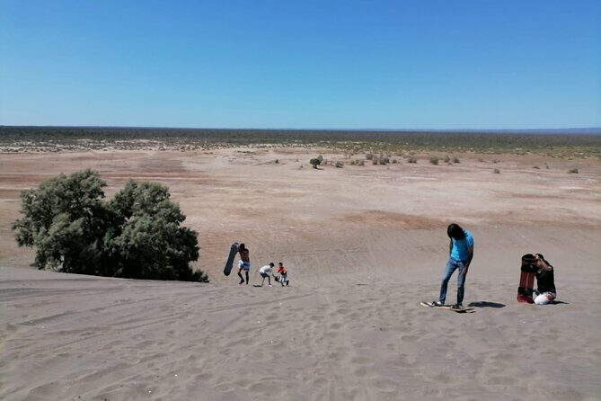 Sandboarding at the Mogote Dunes - Authentic Insights from Reviewers