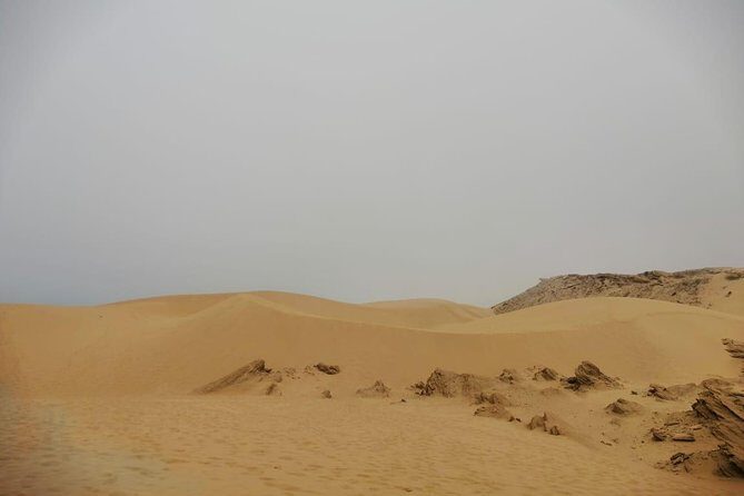 Sandboarding guided experience from Agadir - Overview of the Sandboarding Experience