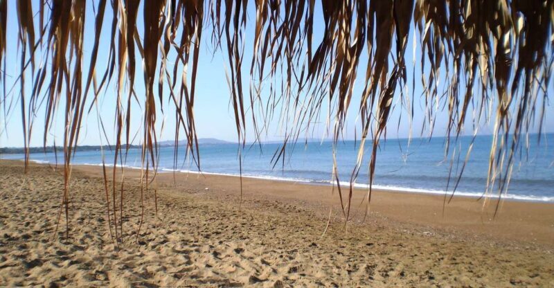 Sandy Shores Shuttle: Your Gateway to Kourouta Beach - Who Is This Tour Best For?