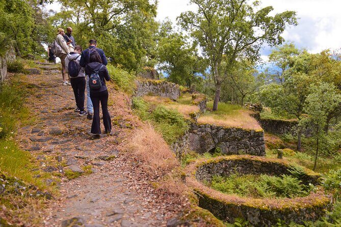 Sanfins and Briteiros Celtic Hillforts Minivan PrivateTour - Detailed Exploration of the Itinerary