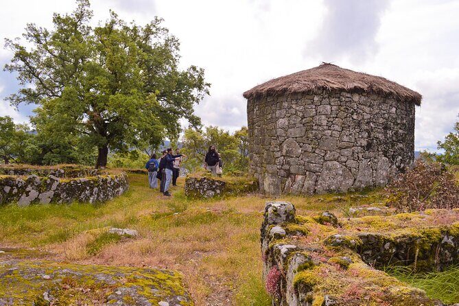 Sanfins and Briteiros Celtic Hillforts Minivan PrivateTour - Who Will Love This Tour?