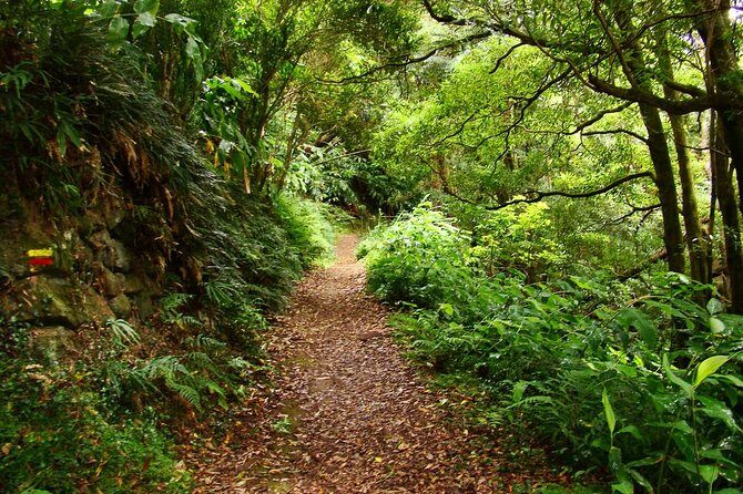 Sanguinho Hike from Ponta Delgada - Why the Sanguinho Hike is Worth It