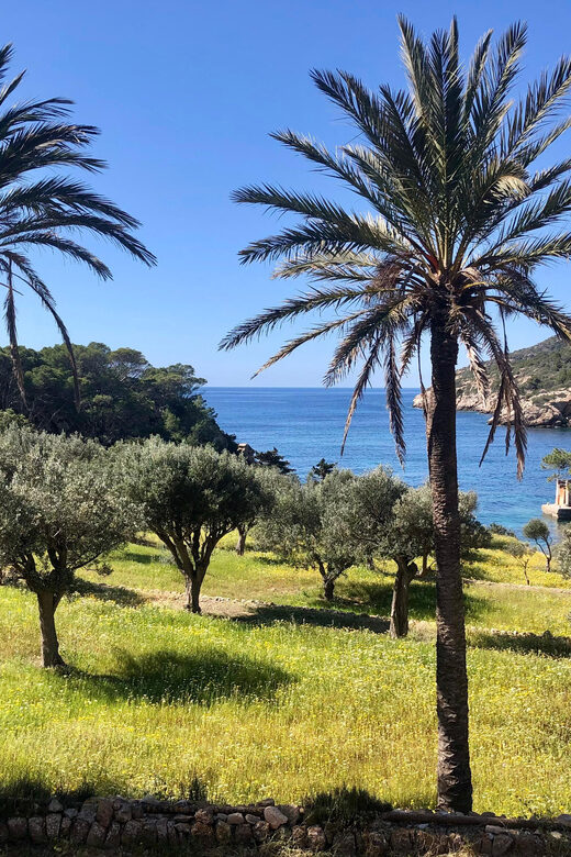 Sant Elm: Guided kayak tour to the Island Dragonera & Hiking - What’s Included and How It Adds Value