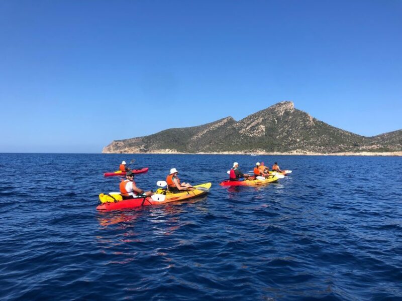 Sant Elm: Guided kayak tour to the island Dragonera - Detailed breakdown of the itinerary