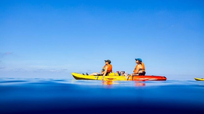 Sant Elm: Guided kayak tour to the island Dragonera - Cost and Value for Money