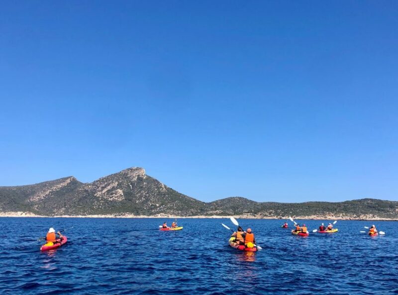 Sant Elm: Guided kayak tour to the island Dragonera - Who Should Consider This Tour?