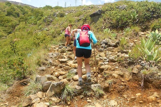 Santa Ana Volcano Hike with a Sulphur Lake and Coatepeque Lake - Authentic Experiences and What Makes This Tour Stand Out