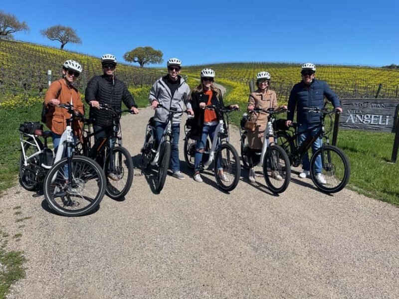 Santa Barbara: E-bike wine tour w/ transport, tasting, lunch - An Overview of the Experience