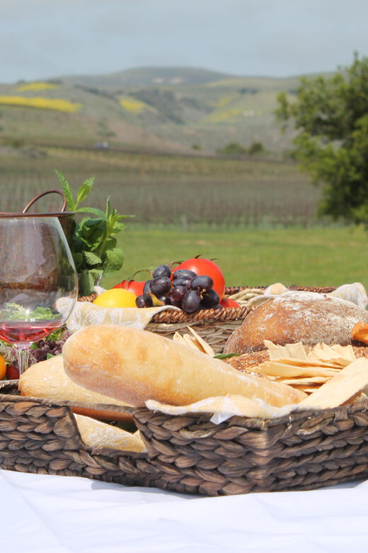 Santa Barbara: E-bike wine tour w/ transport, tasting, lunch - What We Loved About This Tour