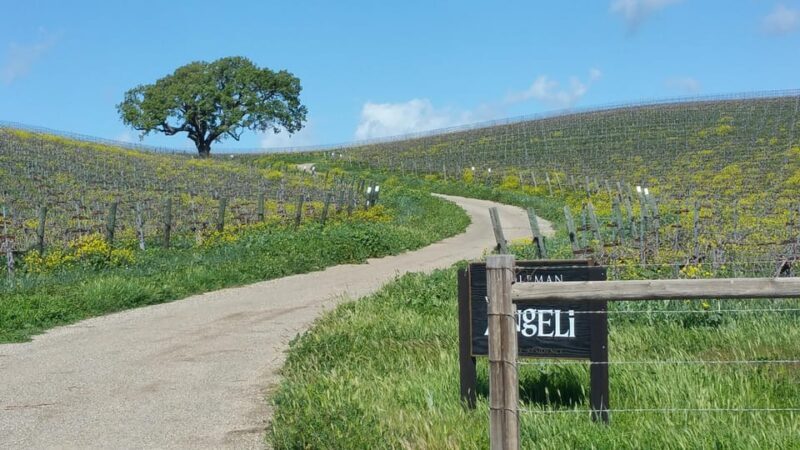 Santa Barbara: E-bike wine tour w/ transport, tasting, lunch - Analyzing the Value