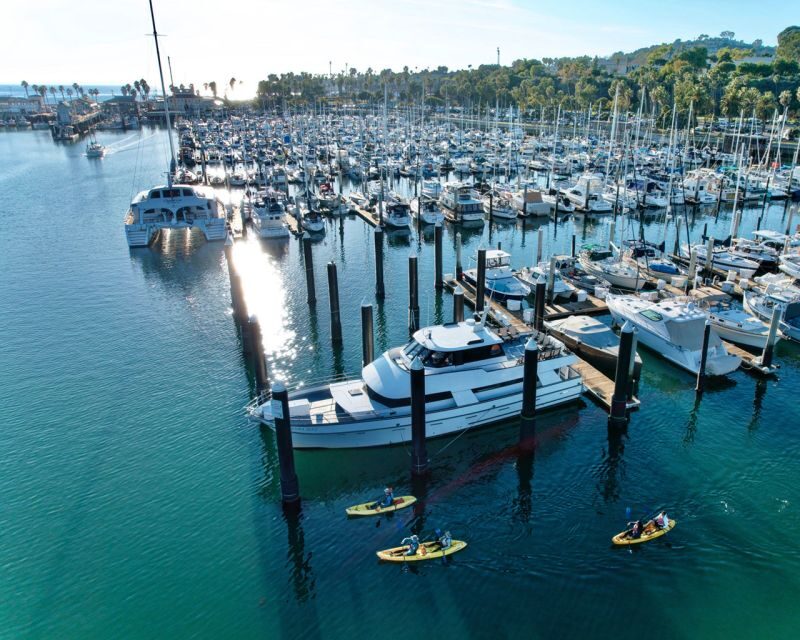 Santa Barbara Harbor: Wildlife Kayak Tour (2 Hours) - In-Depth Look at the Santa Barbara Wildlife Kayak Tour