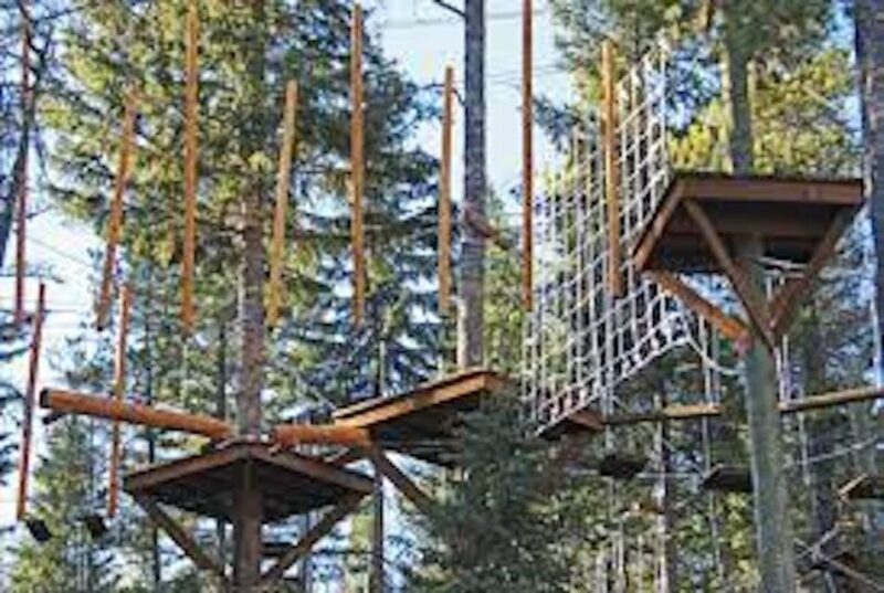 Santa Barbara: High Ropes Adventure Course - Key Points