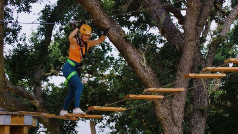 Santa Barbara: High Ropes Adventure Course - Who Would Love This Experience?