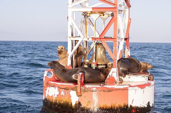 Santa Barbara Narrated Coastal Yacht Experience - What Sets This Tour Apart