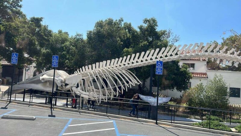 Santa Barbara: Trolley Tour - FAQs