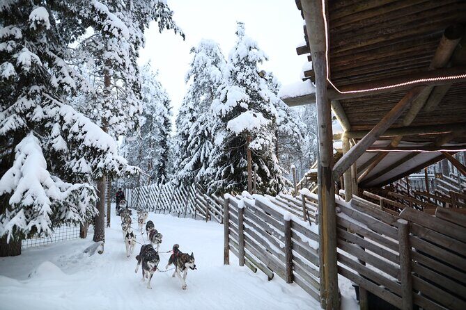 Santa Claus Village, Husky and Reindeers Combo Safari - Key Points