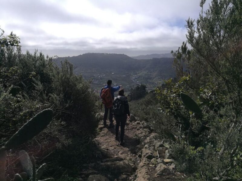 Santa Cruz de Tenerife: 2-Hour Hiking Tour in Anaga Forest - FAQ