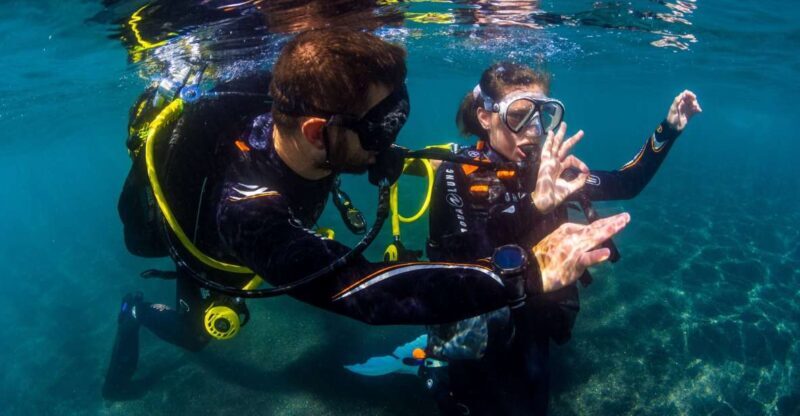 Santa Cruz de Tenerife: Beginner's Diving & Introduction - What to Expect During This Santa Cruz Diving Experience