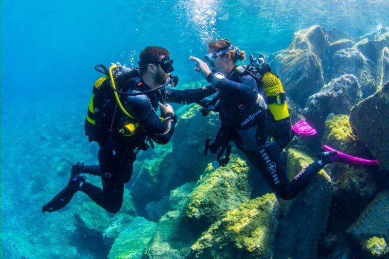 Santa Cruz de Tenerife: Beginner's Diving & Introduction - Pricing and Value
